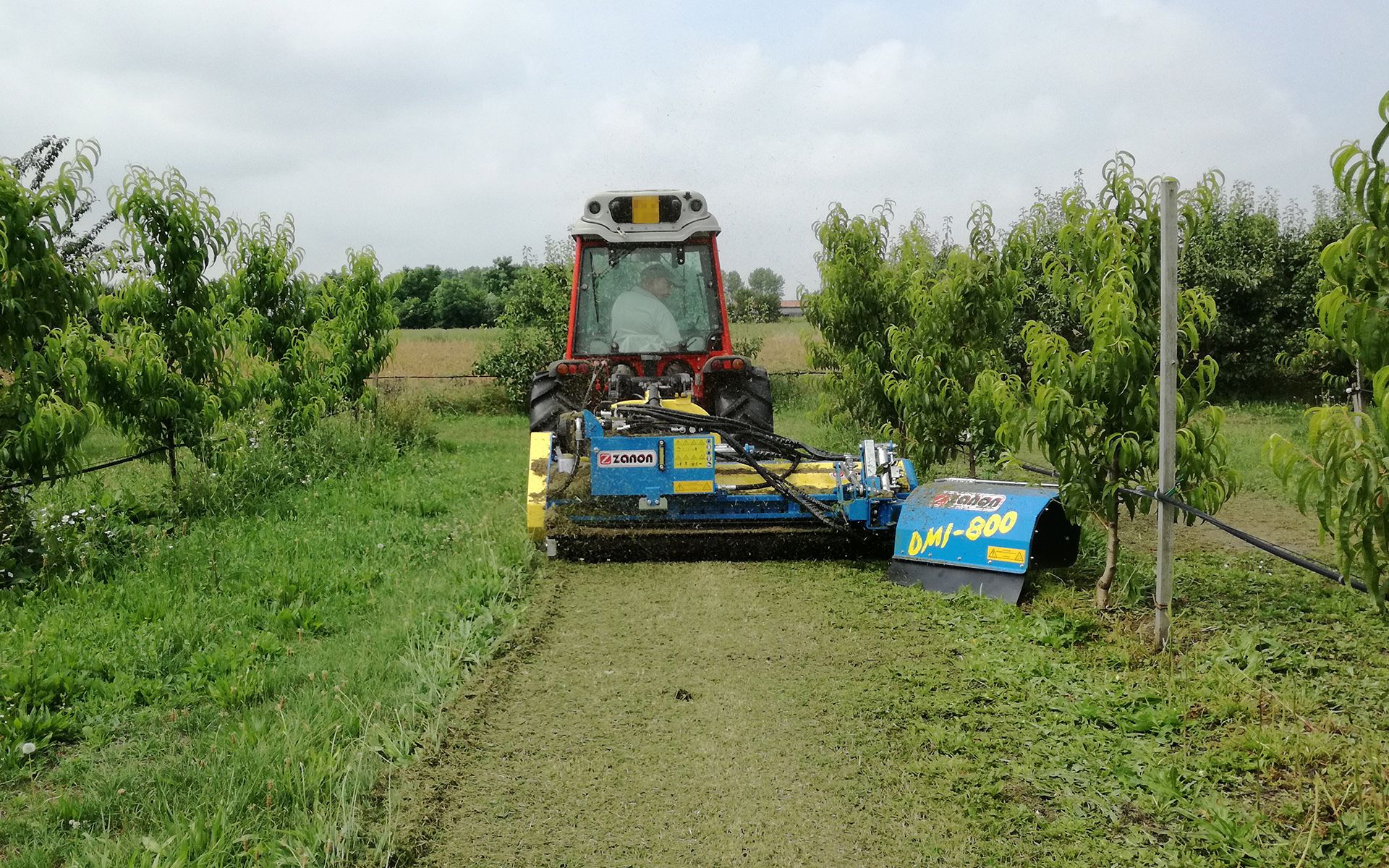 Essential accessories for inter-row cultivation - Zanon